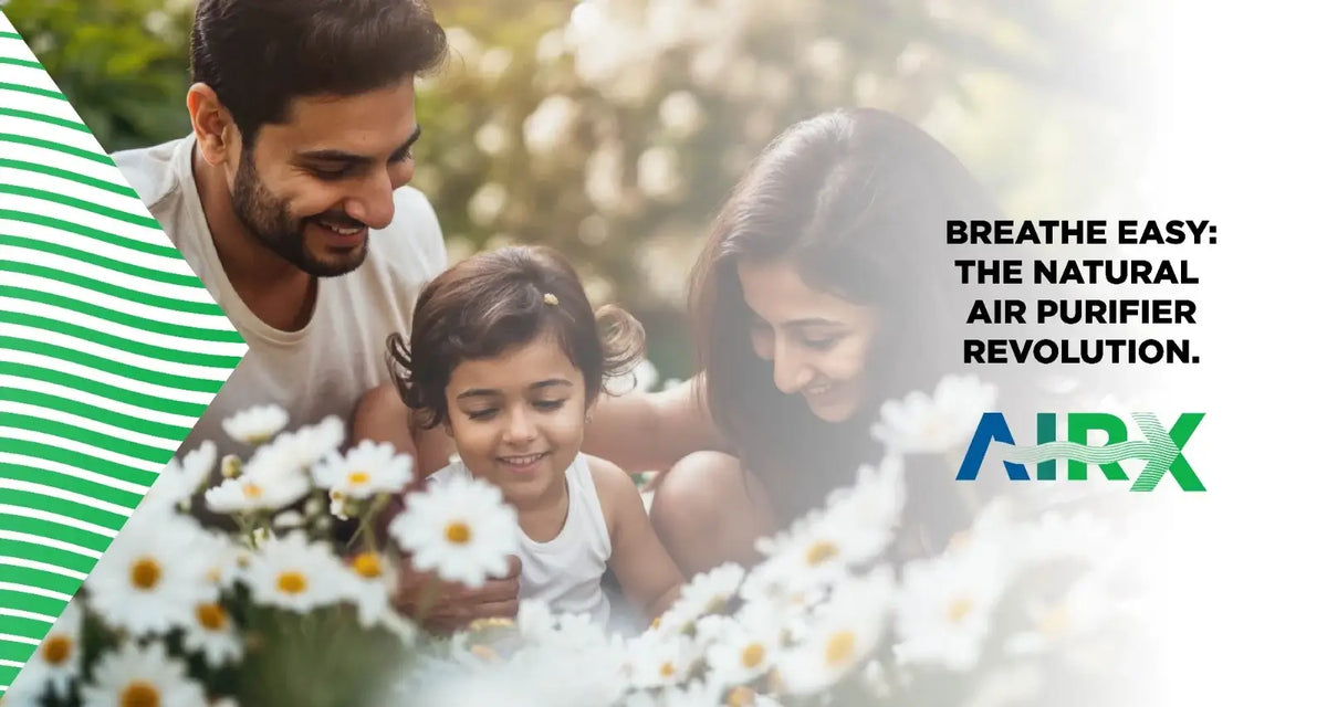 Breathe Easy With AirX: The Natural Air Purifier Revolution – AirX Purifier